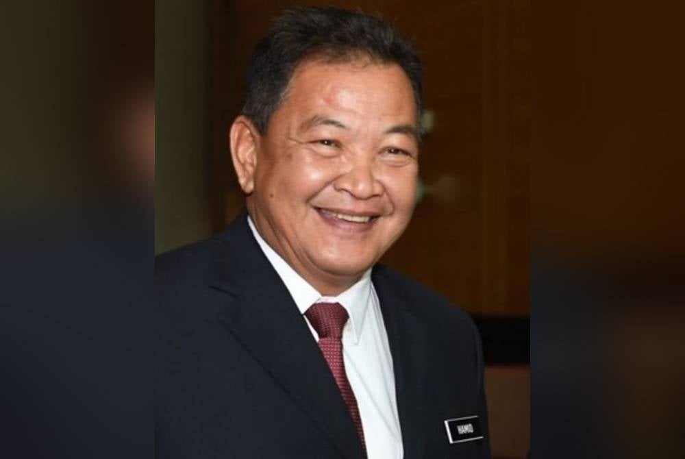 Hamid Bador best candidate to stand against Tok Mat, says GTA - Sinar Daily