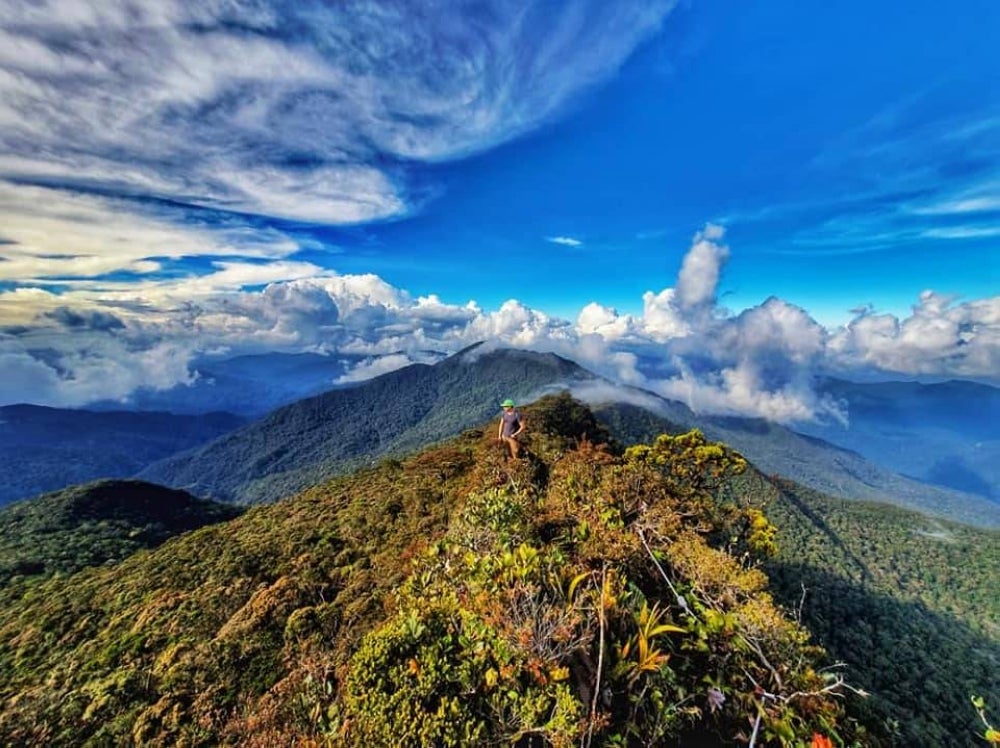 Malaysia's third tallest mountain Sinsing officially measured at 2,586M ...