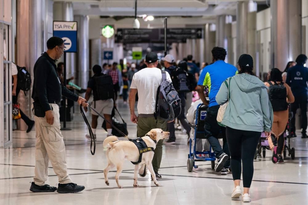 Long waits as UK hit by guide dog shortage - Sinar Daily