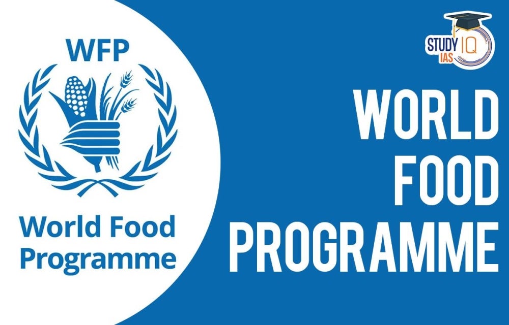 Funding crunch forces WFP to cut operations: Official - Sinar Daily