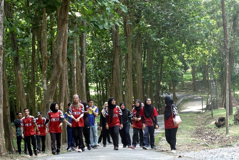 Perlis ‘teak orchard’ beckons tourists with new attractions - Sinar Daily