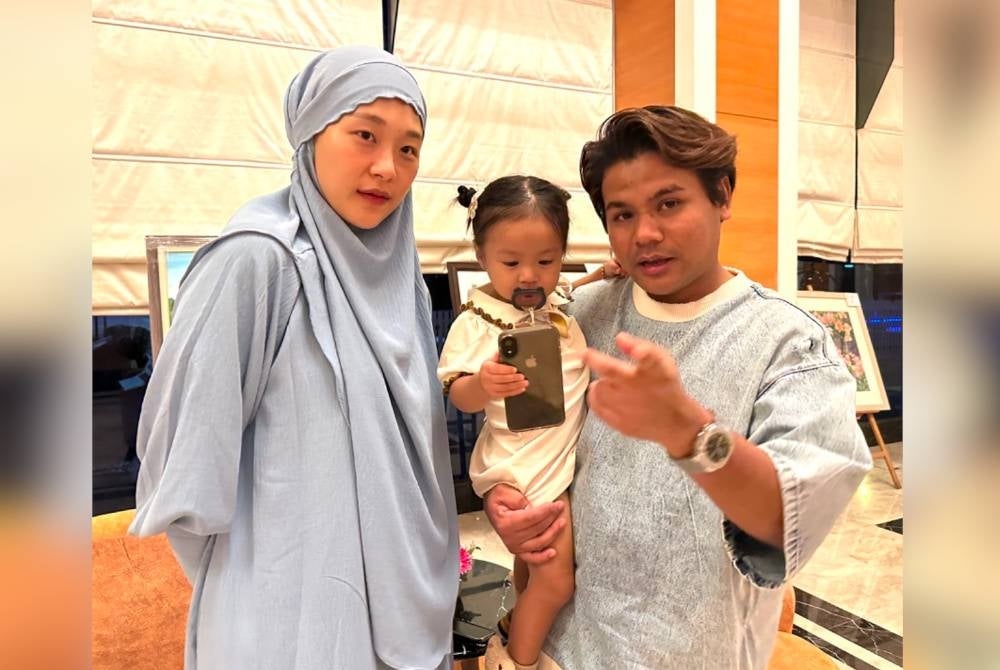 Ryzal Durian Kimchi seeks compensation of RM40,000 over land deal gone ...