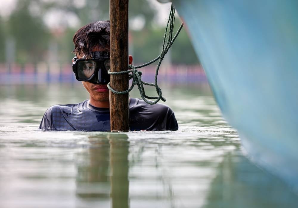 Muar oyster divers a dying breed - Sinar Daily