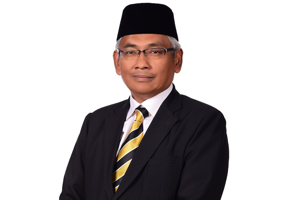Claims that redistricting only benefits DAP, PH untrue - Aziz Bari ...