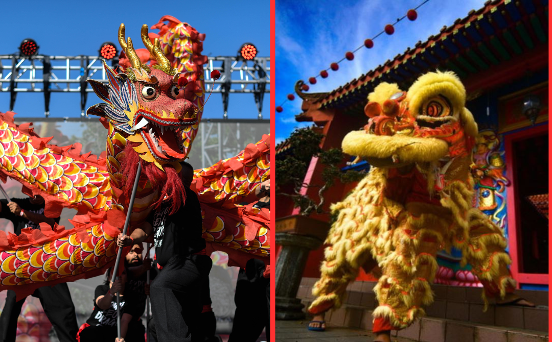 Traditional performances explored: Differences between lion and dragon ...