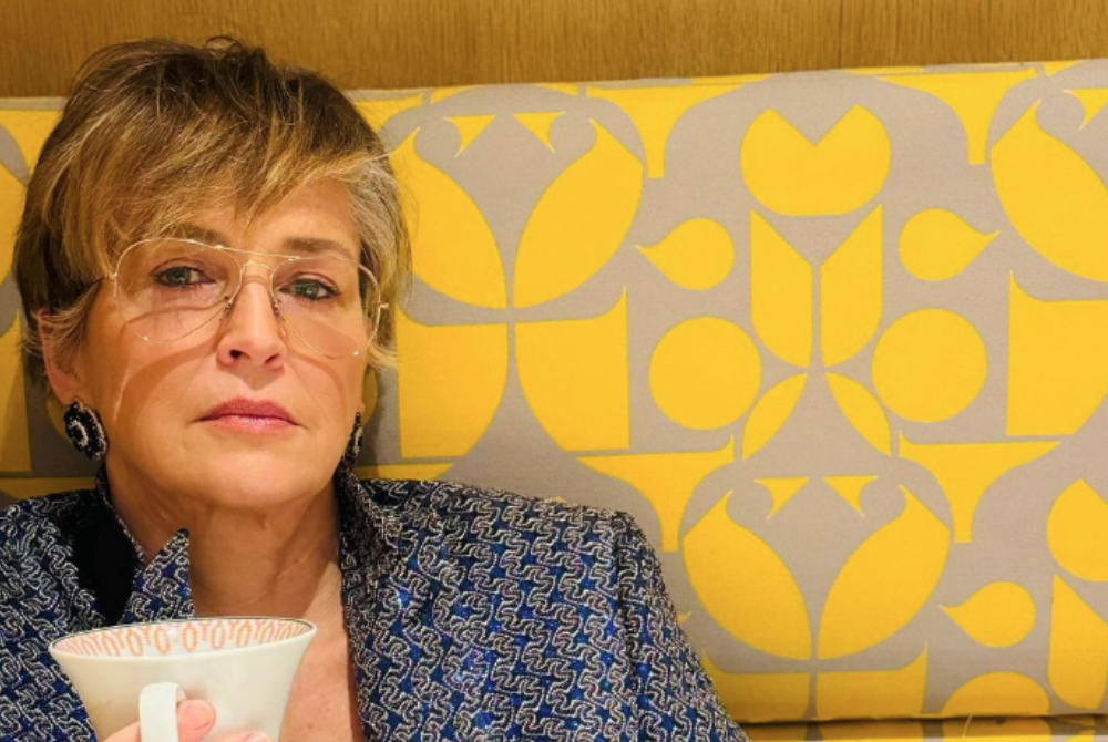 Actress Sharon Stone lost millions in savings after 2001 stroke - Sinar ...