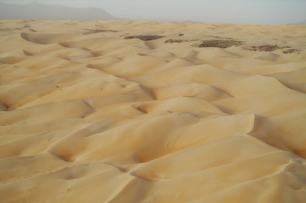 In the heart of Mauritania's desert, a green oasis cultivates equality ...