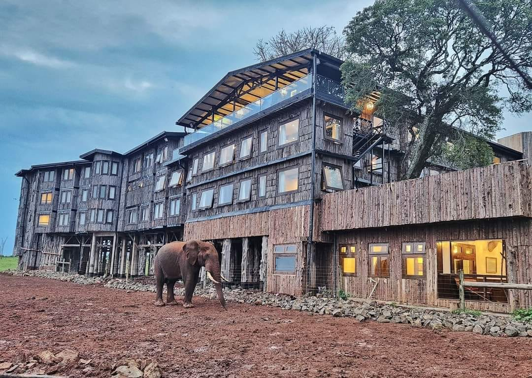Kenya's Treetops hotel reopens after Covid shutdown - Sinar Daily