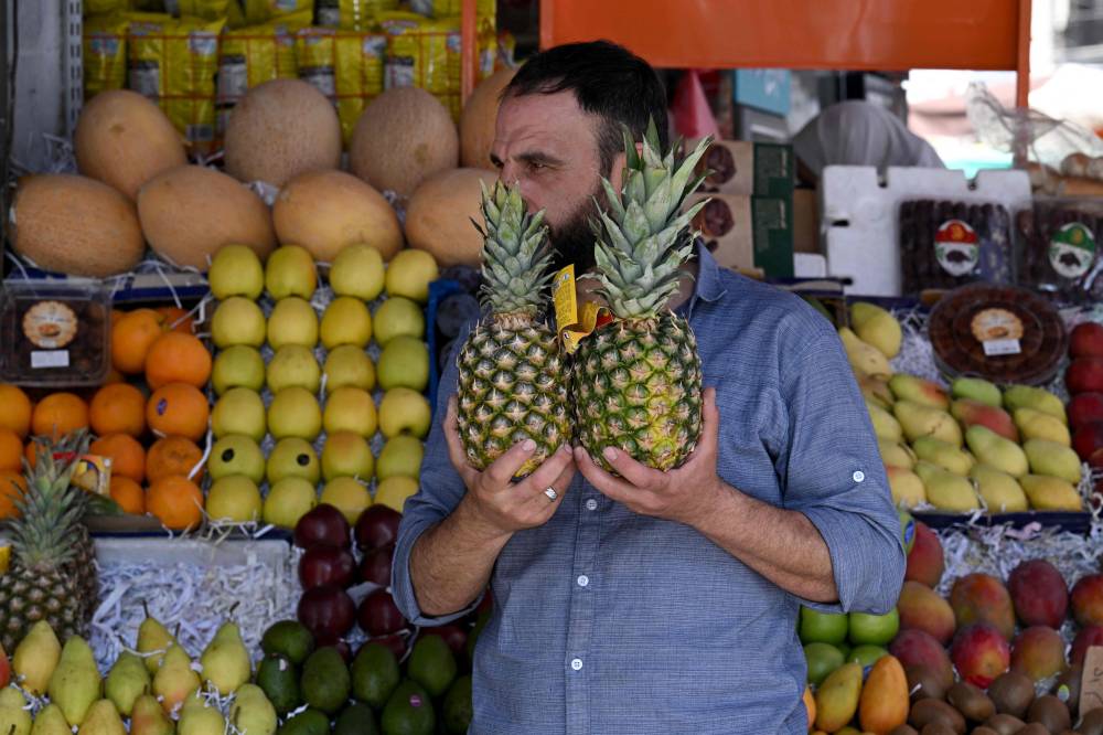 Pineapple is the new potato: Imported fruits back in Syria - Sinar Daily