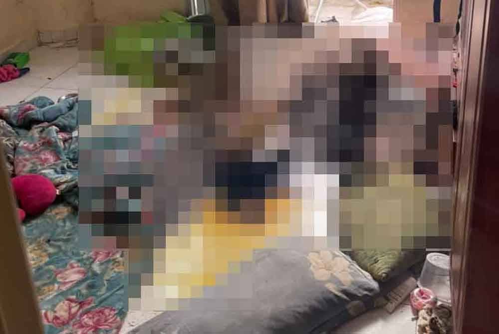 Decomposed bodies of woman, daughter found in Penang apartment - Sinar ...