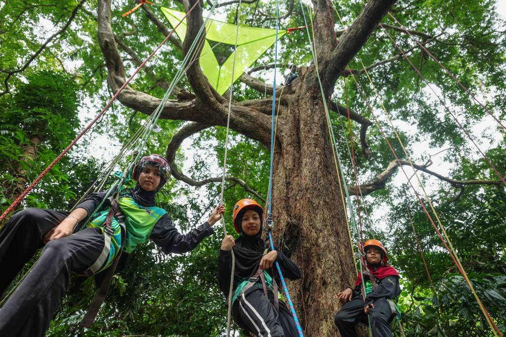 Three young girls take on extreme sport of tree climbing - Sinar Daily