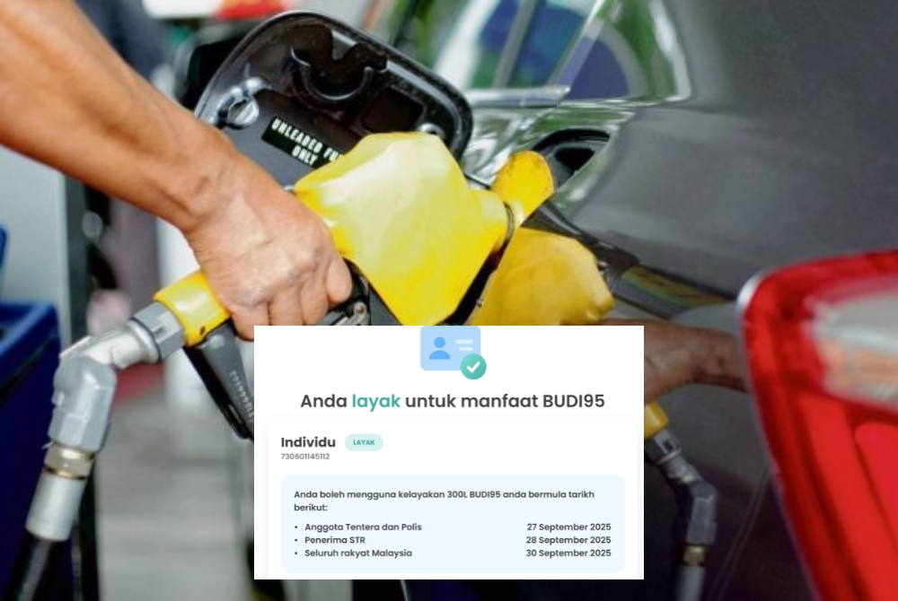 Are you eligible for cheaper RON95? Here’s how to check - Sinar Daily