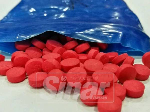 Cubaan seludup 2 juta pil kuda ke Malaysia gagal - Sinar Harian