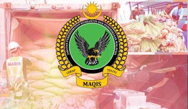 Maqis rampas 7kg produk tenusu - Sinar Harian