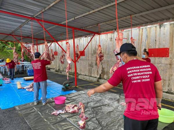 Yayasan Tan Sri Muhyiddin Charity Golf sumbang 24 lembu korban - Sinar ...