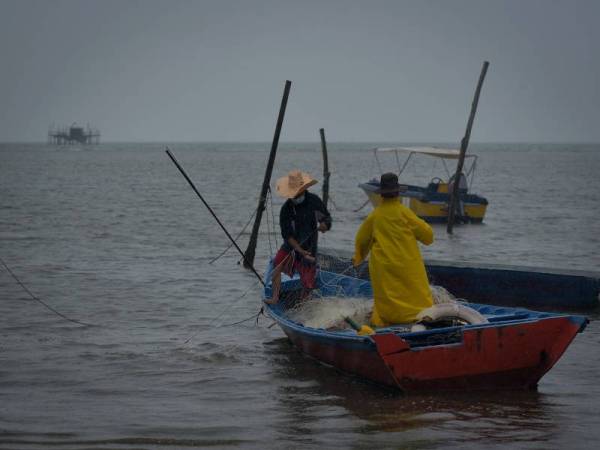 Nelayan Tempatan - Sinar Harian