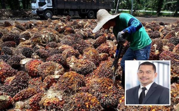 FGV jangka harga MSM RM3,500 satu tan tahun ini