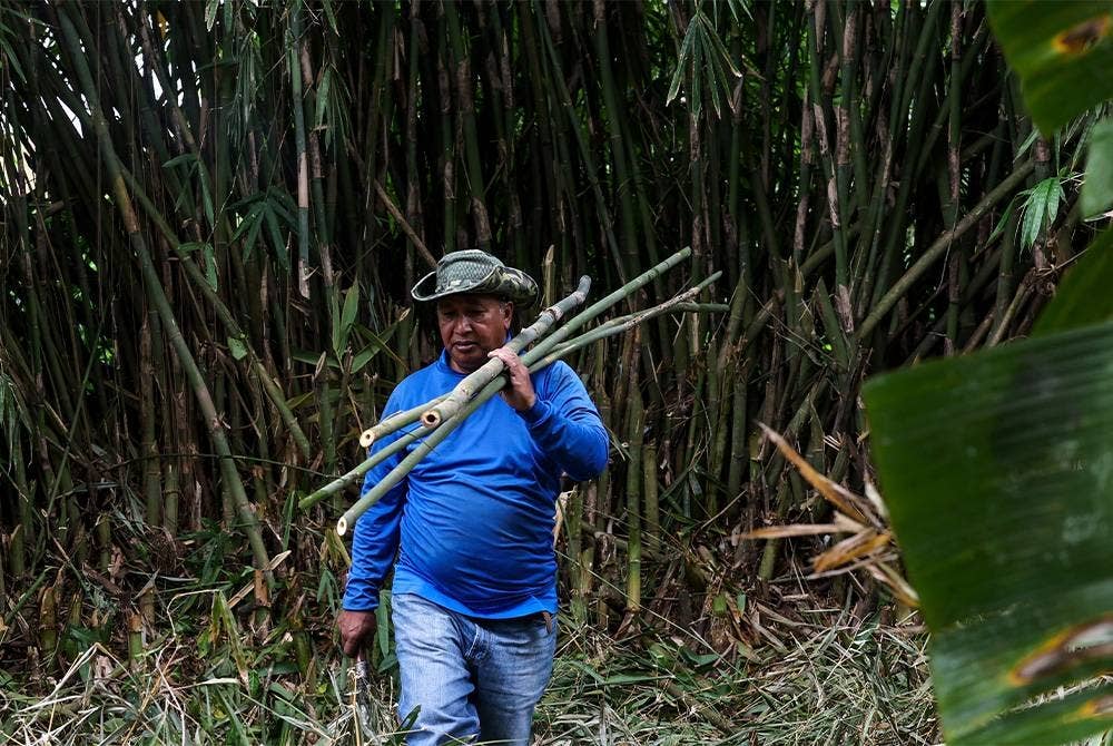 Pembekal buluh 'tumpang' rezeki sempena PRU15 - Sinar Harian