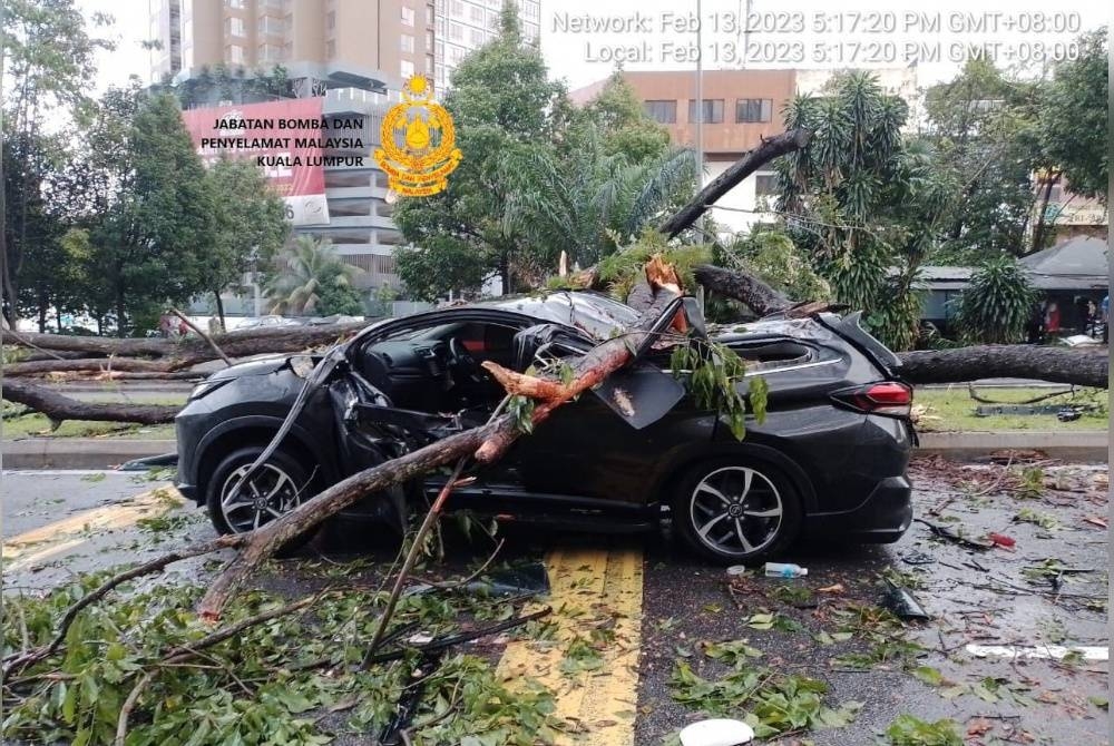 Dua cedera, tiga kenderaan rosak dihempap pokok tumbang - Sinar Harian