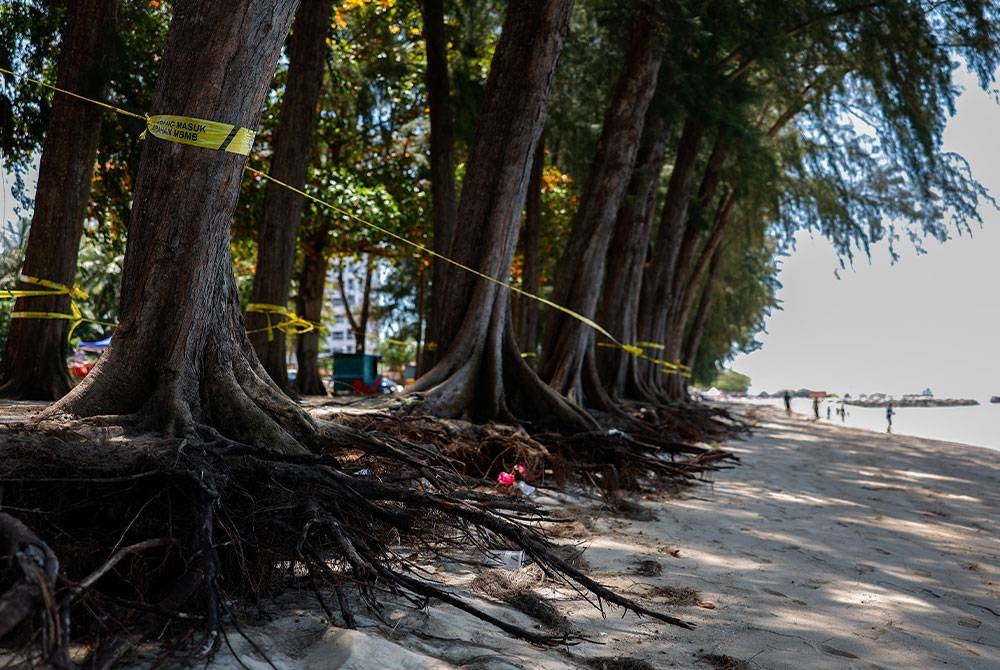 Waspada di Pantai Kundor - Sinar Harian