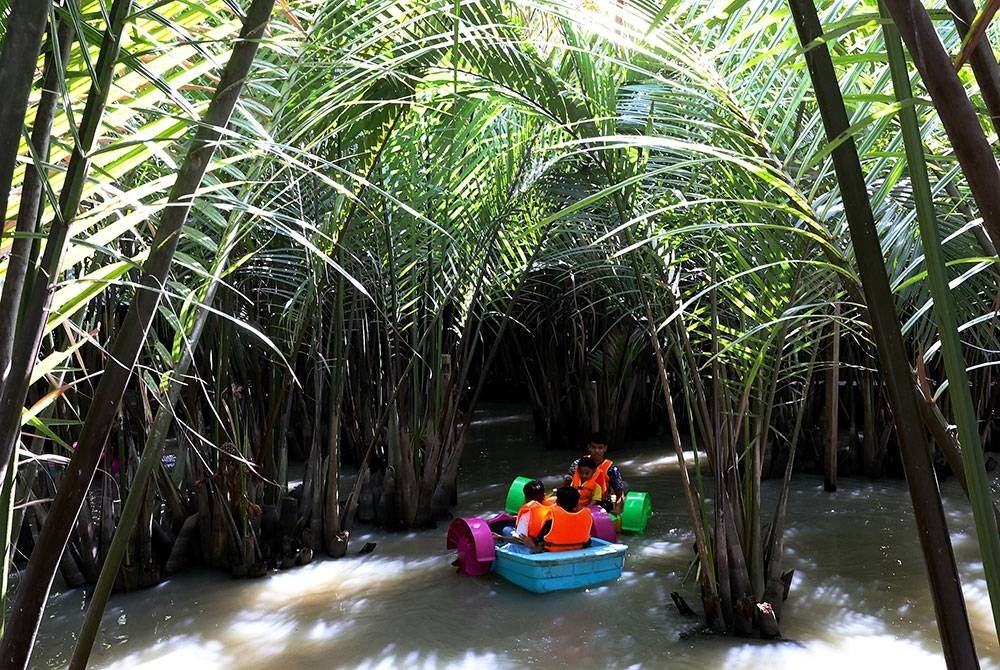 Nipah klasik - Sinar Harian