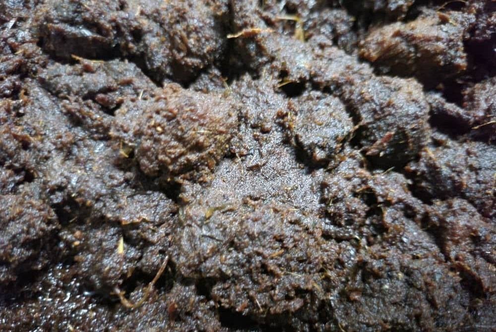 Rendang unta gamit memori bekas orang kuat FAM - Sinar Harian