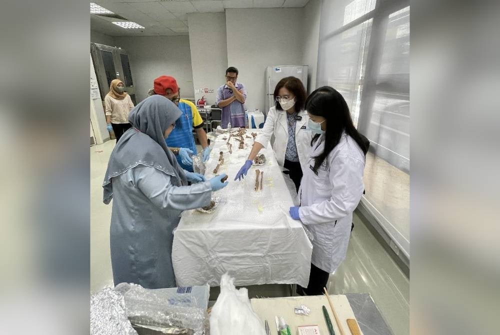 Saintis UKM kaji rangka manusia prasejarah 14,000 tahun - Sinar Harian