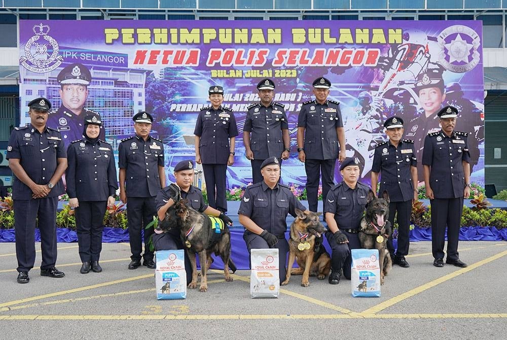 Tiga anjing pengesan terima penghargaan bantu siasatan kes bunuh ...