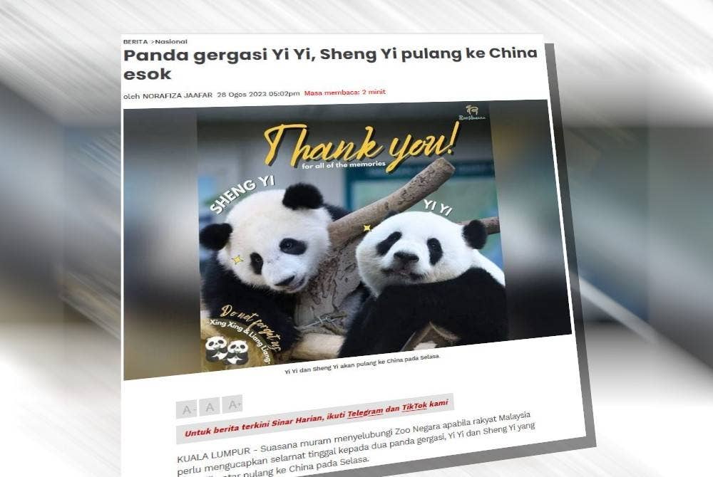 Yi Yi, Sheng Yi, simbol tersurat diplomasi panda China-Malaysia - Sinar ...