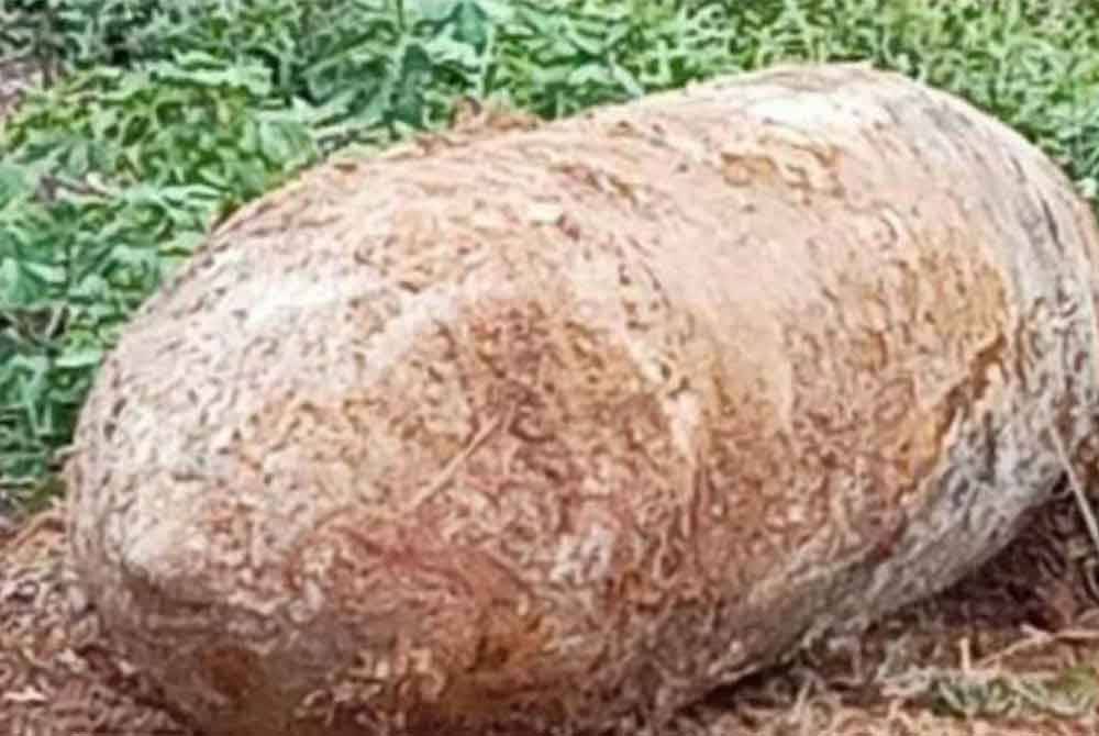 Orang awam jumpa bom lama sebesar tong gas di Gemas - Sinar Harian