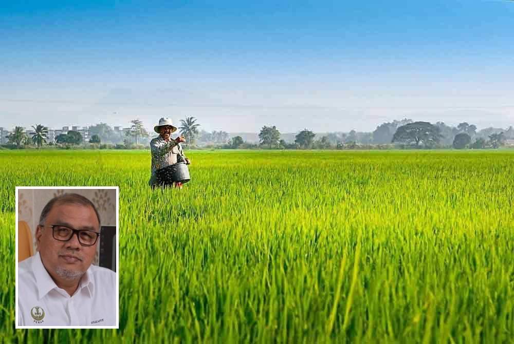 Perak, USAS laksana projek perintis tanam padi NMR152 di tanah terbiar ...