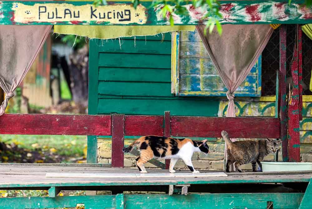 Pulau Kucing - Sinar Harian