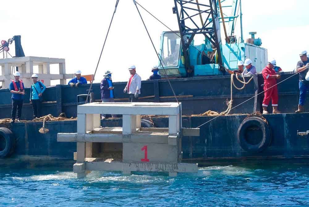 12 tukun tiruan dilabuhkan di Pulau Kapas, Pulau Redang - Sinar Harian