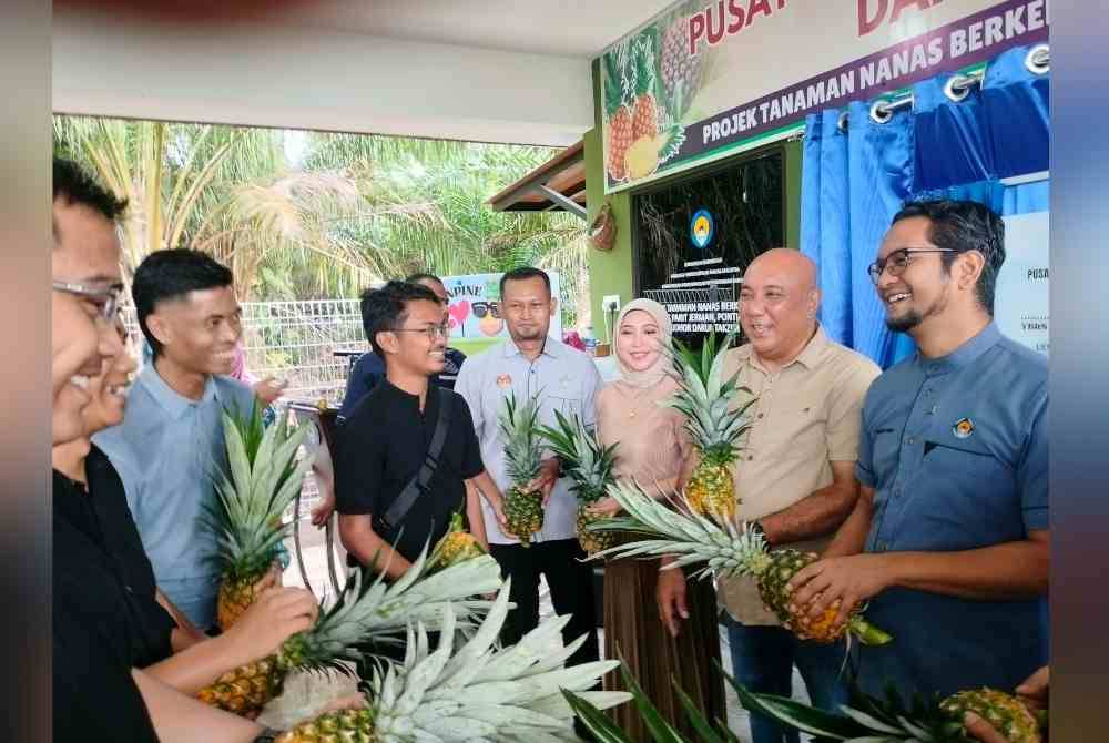Sejuta nanas MD2 ditanam di Kampung Parit Jerman - Sinar Harian