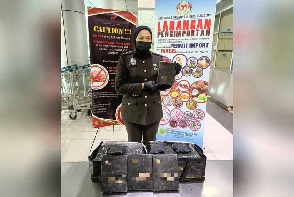 Maqis rampas produk hasilan babi dari Macau - Sinar Harian
