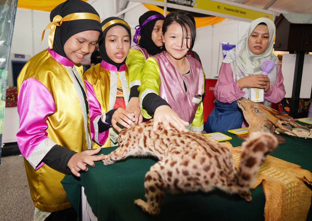 Reruai MPOGCF, Perhilitan pamer haiwan liar diawet - Sinar Harian