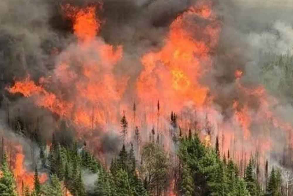 Pembakaran terbuka di Sarawak membimbangkan - JBPM Negeri - Sinar Harian