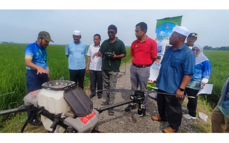 Banci Pertanian 2024: Input majukan tanaman padi di Kedah - Sinar Harian
