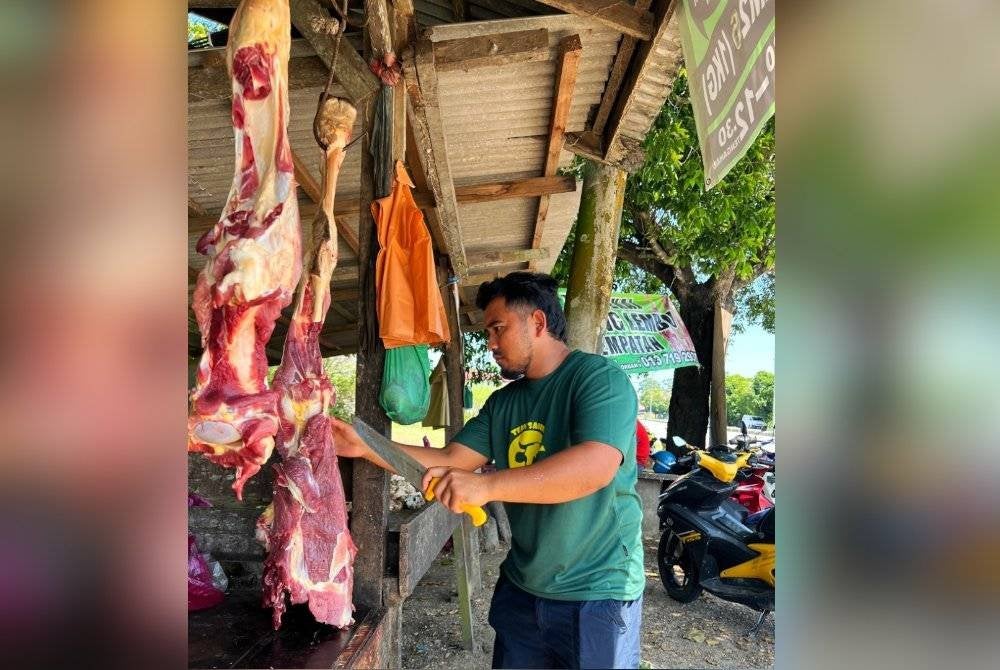 Daging lembu segar di Kelantan serendah RM20 sekilogram - Sinar Harian