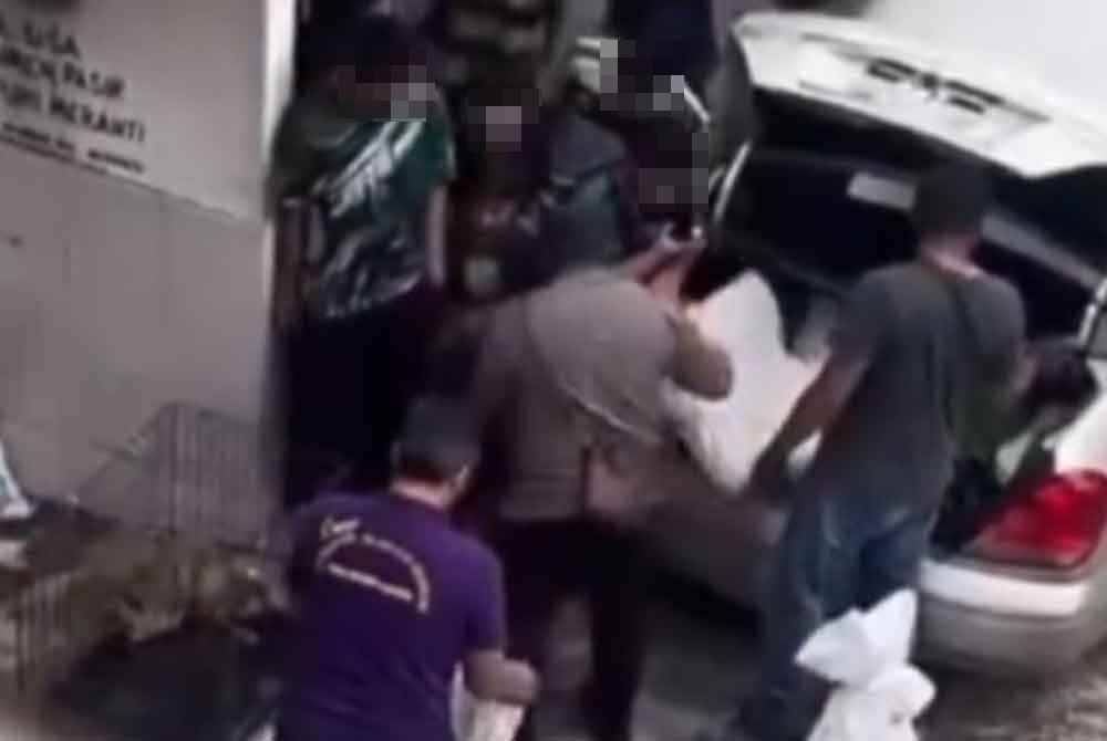 Buang kucing: DVS sita kereta dan guni, rakam keterangan individu ...