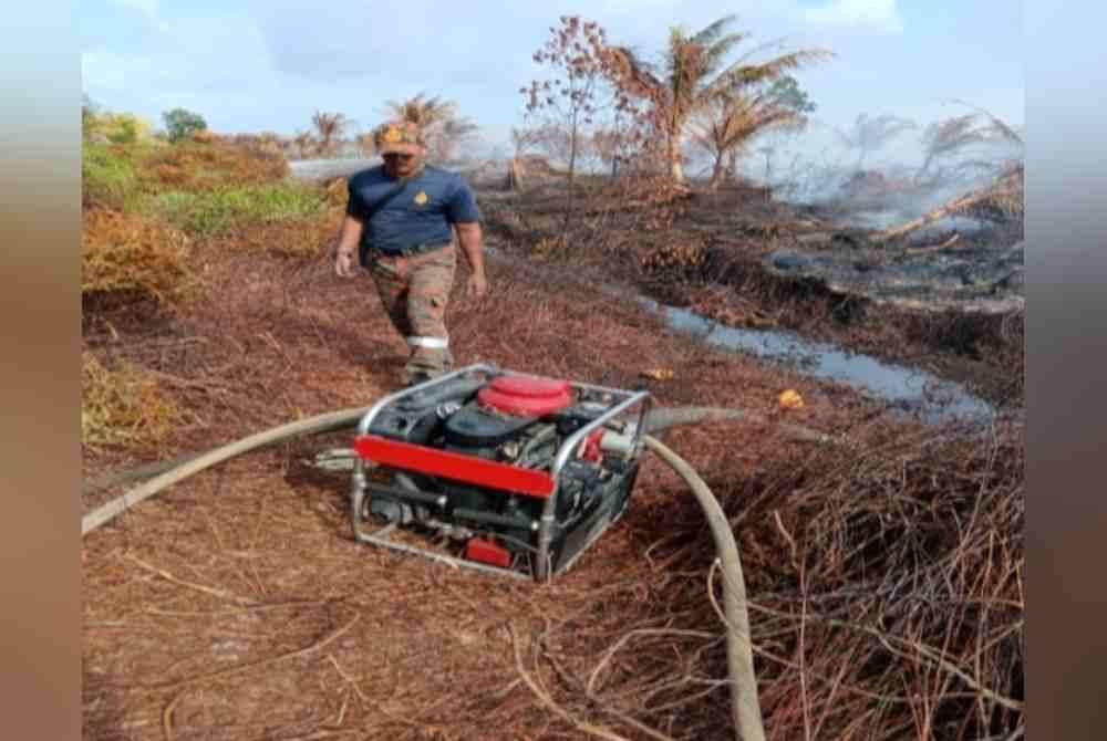 Kebakaran ladang kelapa di Gebeng kembali merebak - Sinar Harian