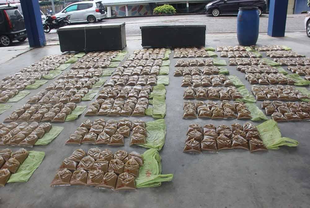 Empat lelaki dicekup dalam kandang lembu, air ketum RM26,640 dirampas ...