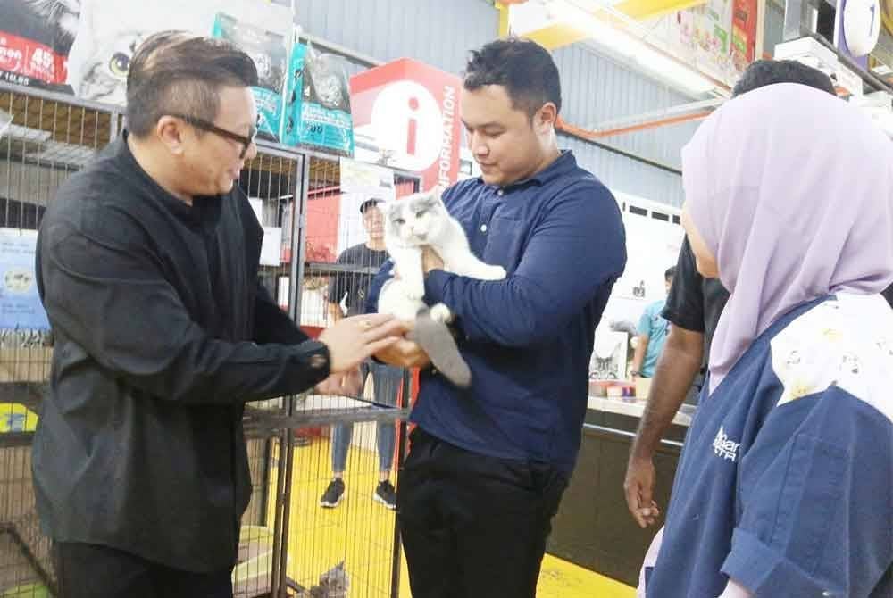 Cat Supermarket cipta rekod kembiri 202 kucing dalam 24 jam - Sinar Harian