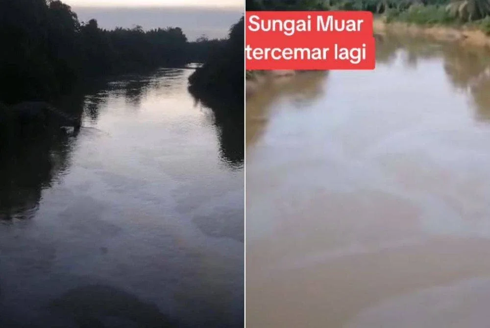 Sungai Muar di Kampung Awat tercemar - Sinar Harian