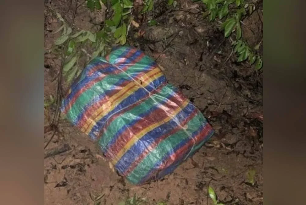 Cubaan seludup ganja RM690,000 di sempadan negara gagal - Sinar Harian