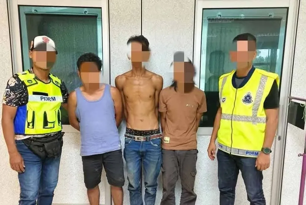 Tiga lelaki dicekup jual beli 5,696 pil dadah dalam hutan - Sinar Harian