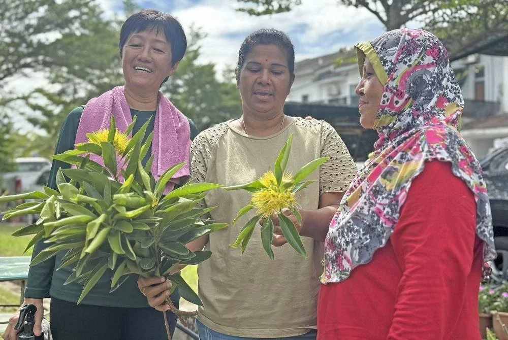 Kebun tuai kasih persahabatan - Sinar Harian