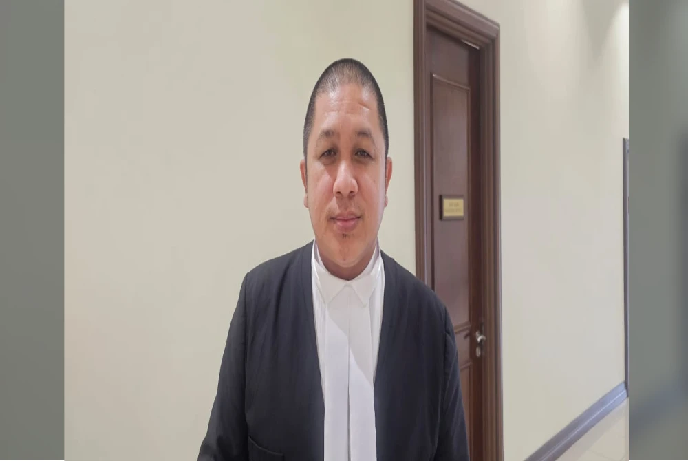 Peguam Zara Qairina, Hamid Ismail antara 3 individu dilantik ...