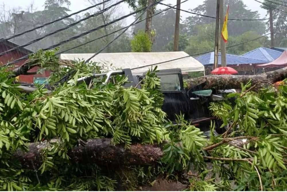 Pemandu pacuan empat roda maut dihempap pokok - Sinar Harian