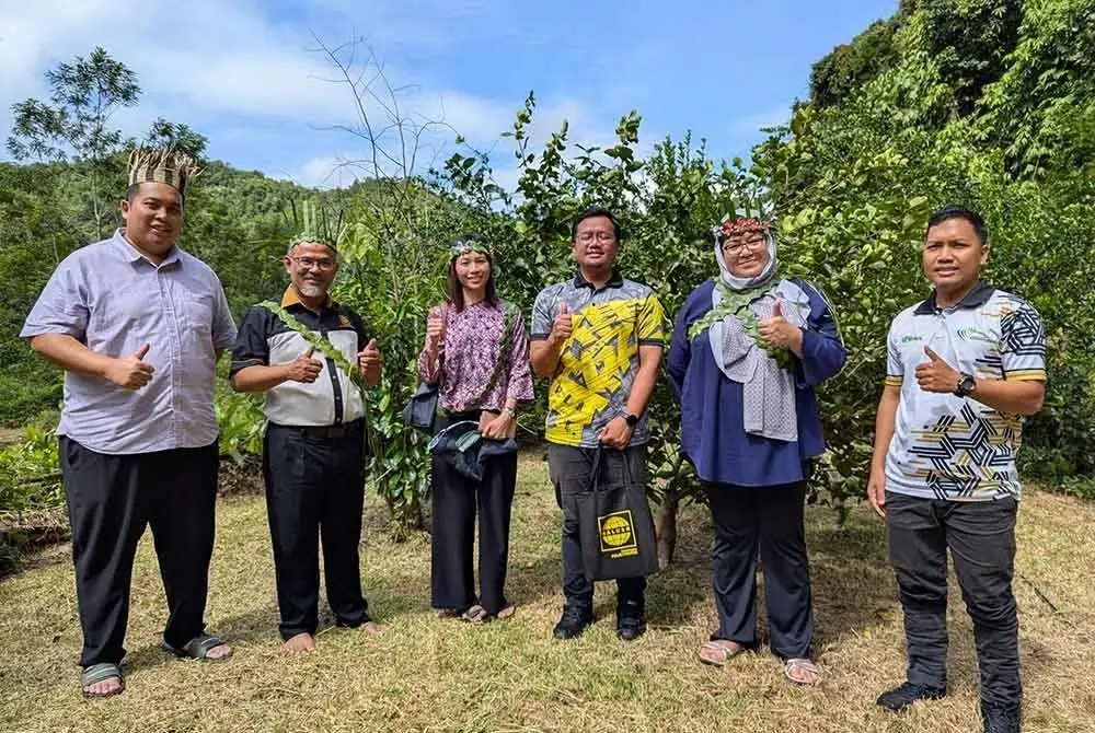 Limau nipis, serai bantu ekonomi Orang Asli - Sinar Harian